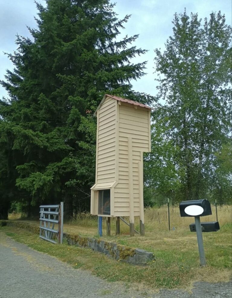 It Looked Like Just an Old Tower — But It Held Something Beautiful ...