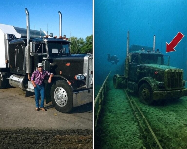 A True Story About a Truck Driver Who Went Missing in 1992 ...